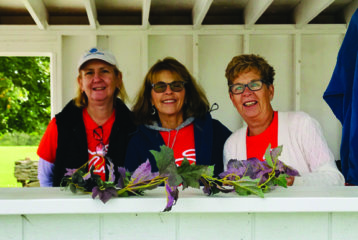 Get Involved - Potter League For Animals