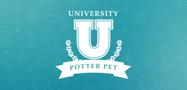 June Potter Pet U – Barks and Recreation: A Comprehensive Guide to Dog ...
