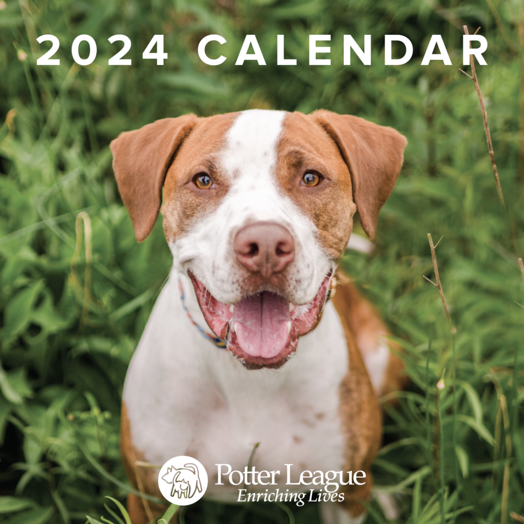 2024 Potter League Photo Calendars - Potter League For Animals