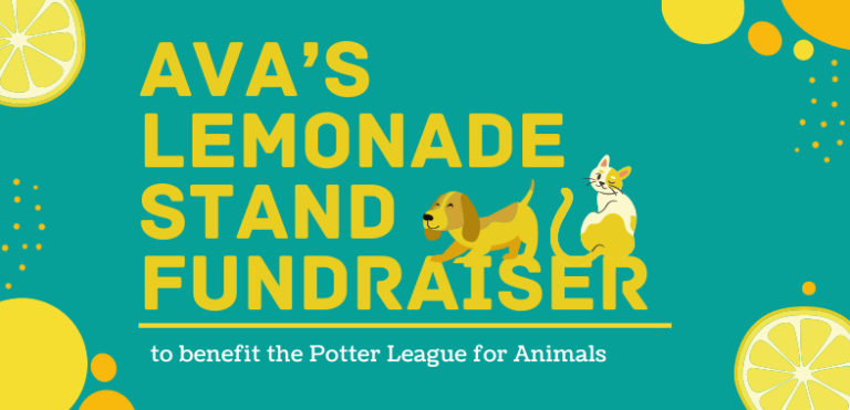 Ava's Lemonade Stand Fundraiser - Potter League For Animals