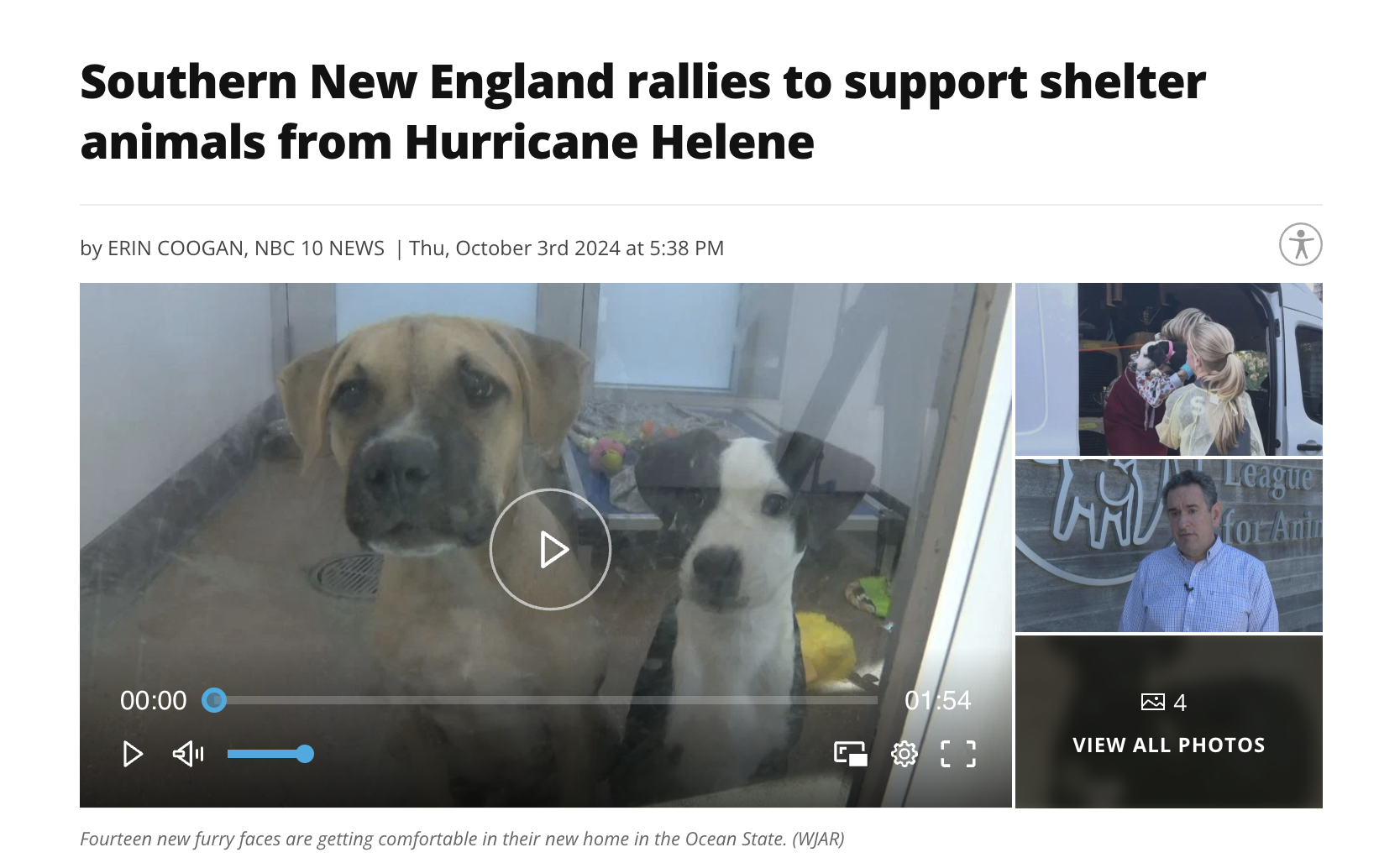 Southern New England rallies to support shelter animals from Hurricane Helene - Potter League ...